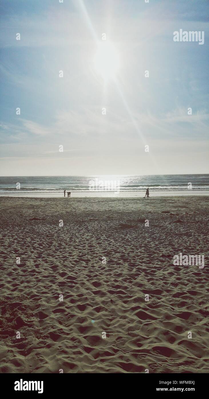 Beach sand shining hi-res stock photography and images - Alamy