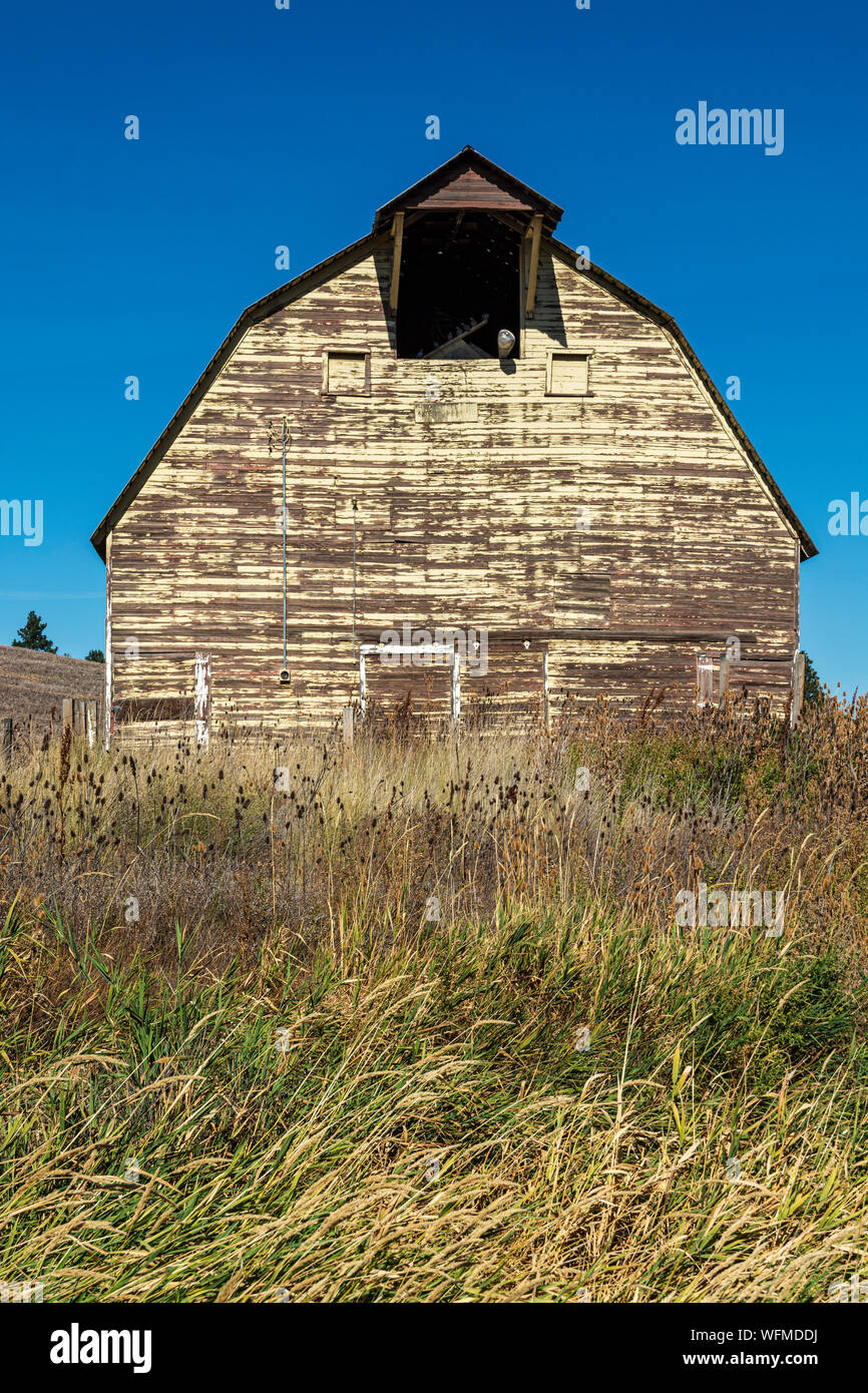 Washington, Palouse Region, Hwy 26, wooden barn, fall season Stock ...