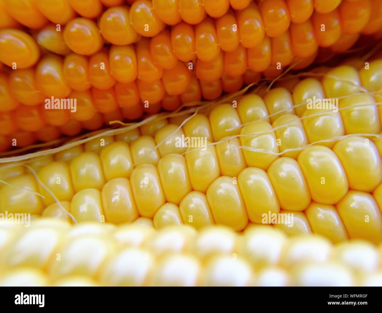 Close up sweetcorn hi-res stock photography and images - Alamy