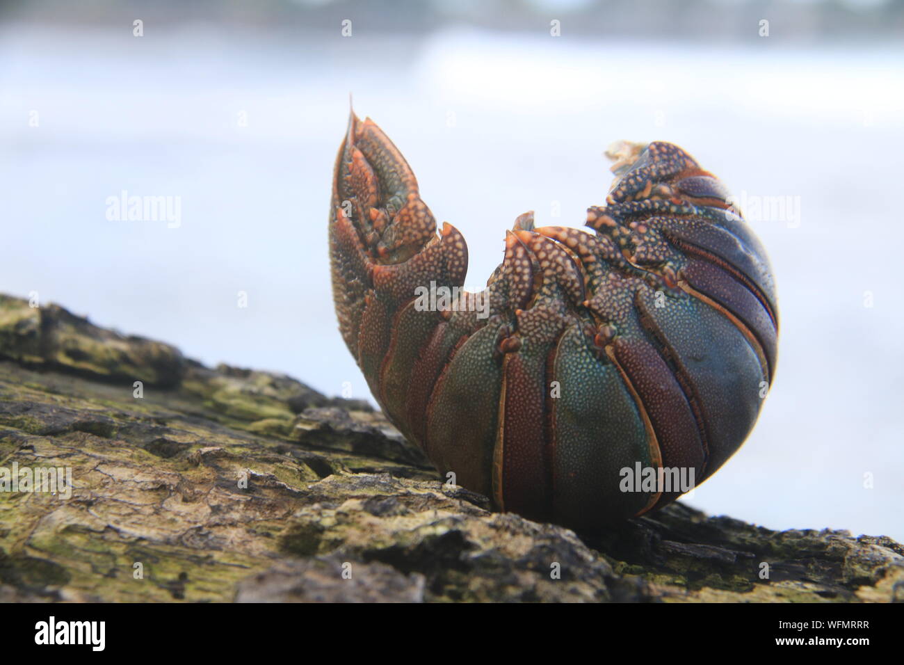 Beutifull view hi-res stock photography and images - Alamy