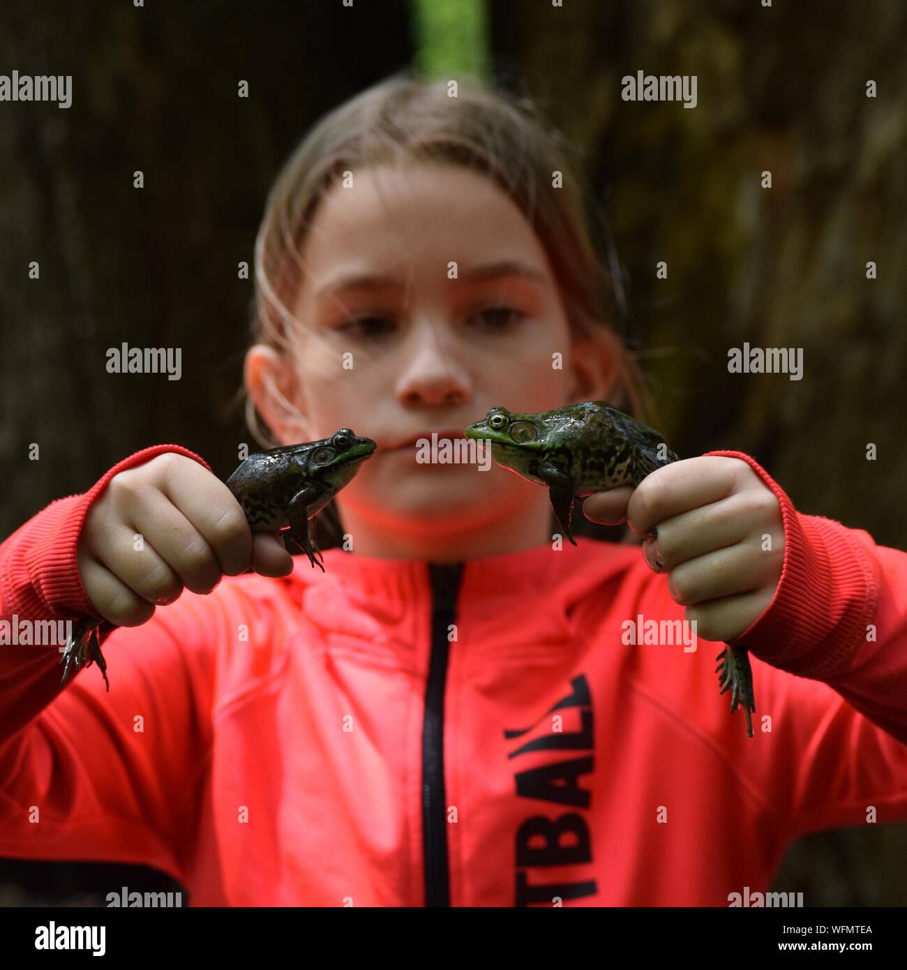 Real frogs hi-res stock photography and images - Alamy