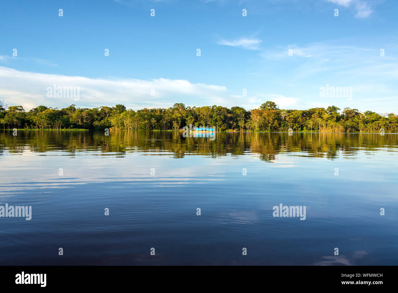 Javary High Resolution Stock Photography and Images - Alamy