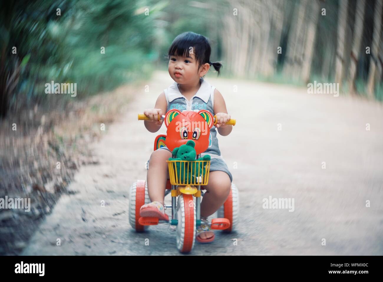 Toddler riding tricycle hi-res stock photography and images - Alamy
