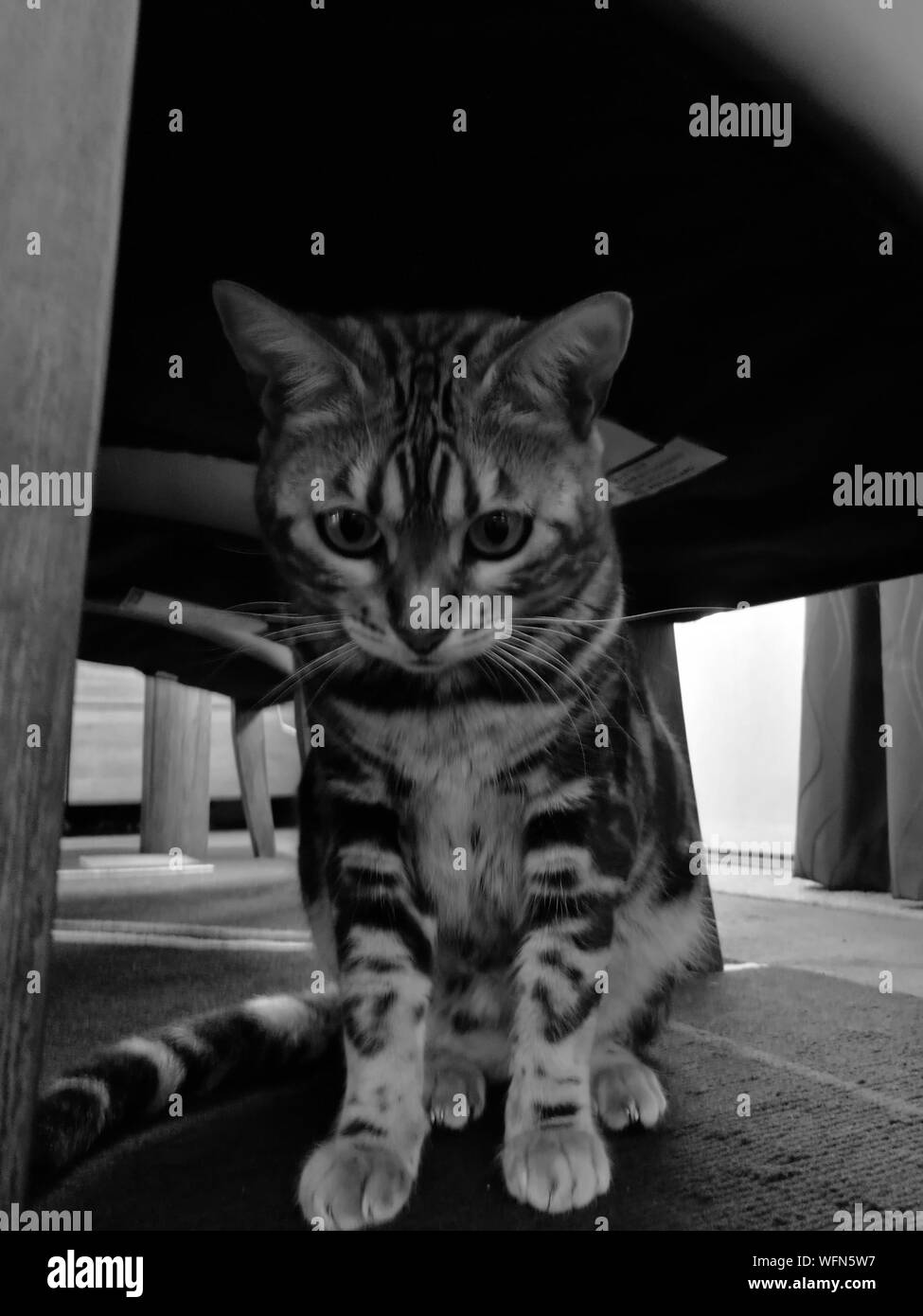 Camera underneath hi-res stock photography and images - Alamy