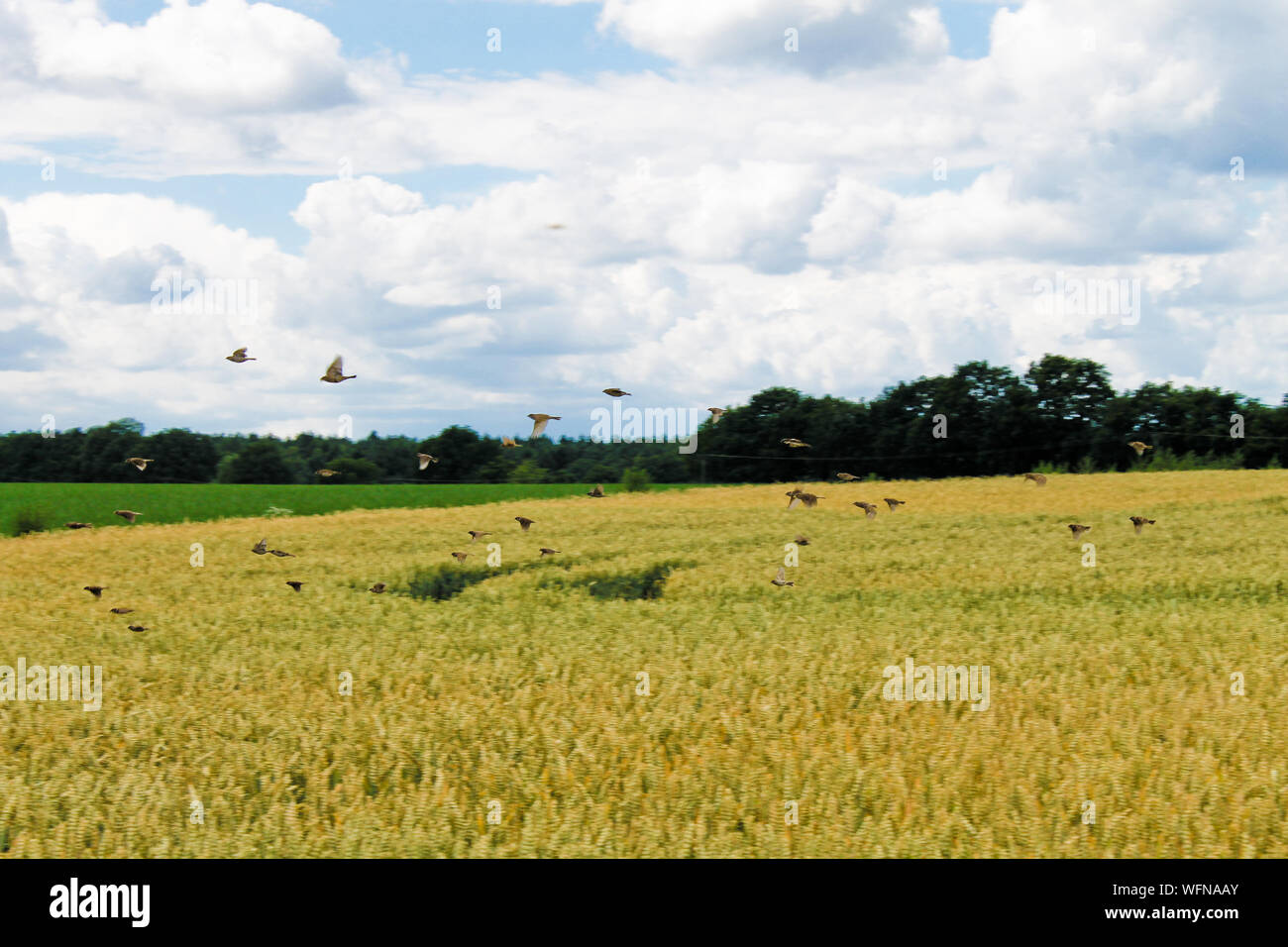 Flying over farm hi-res stock photography and images - Alamy