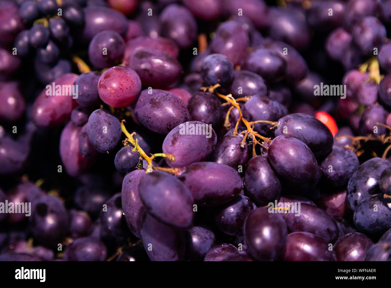 Delicious fragrant exotic berry close-up, black grape background Stock ...