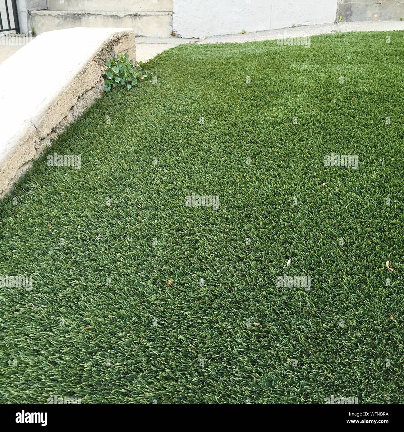 Artificial_turf hi-res stock photography and images - Alamy