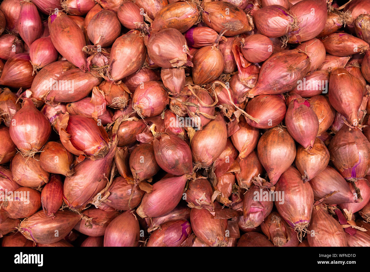 Raw spicy red shallots background, aerial view Stock Photo - Alamy