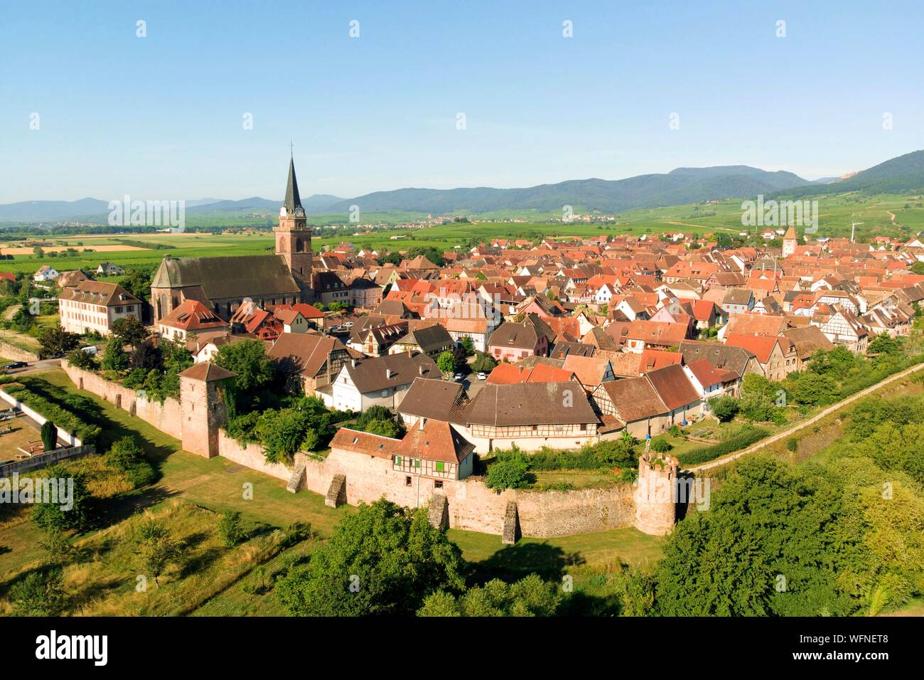France, Haut Rhin, Alsace wine road, Bergheim, medieval walled ancient ...