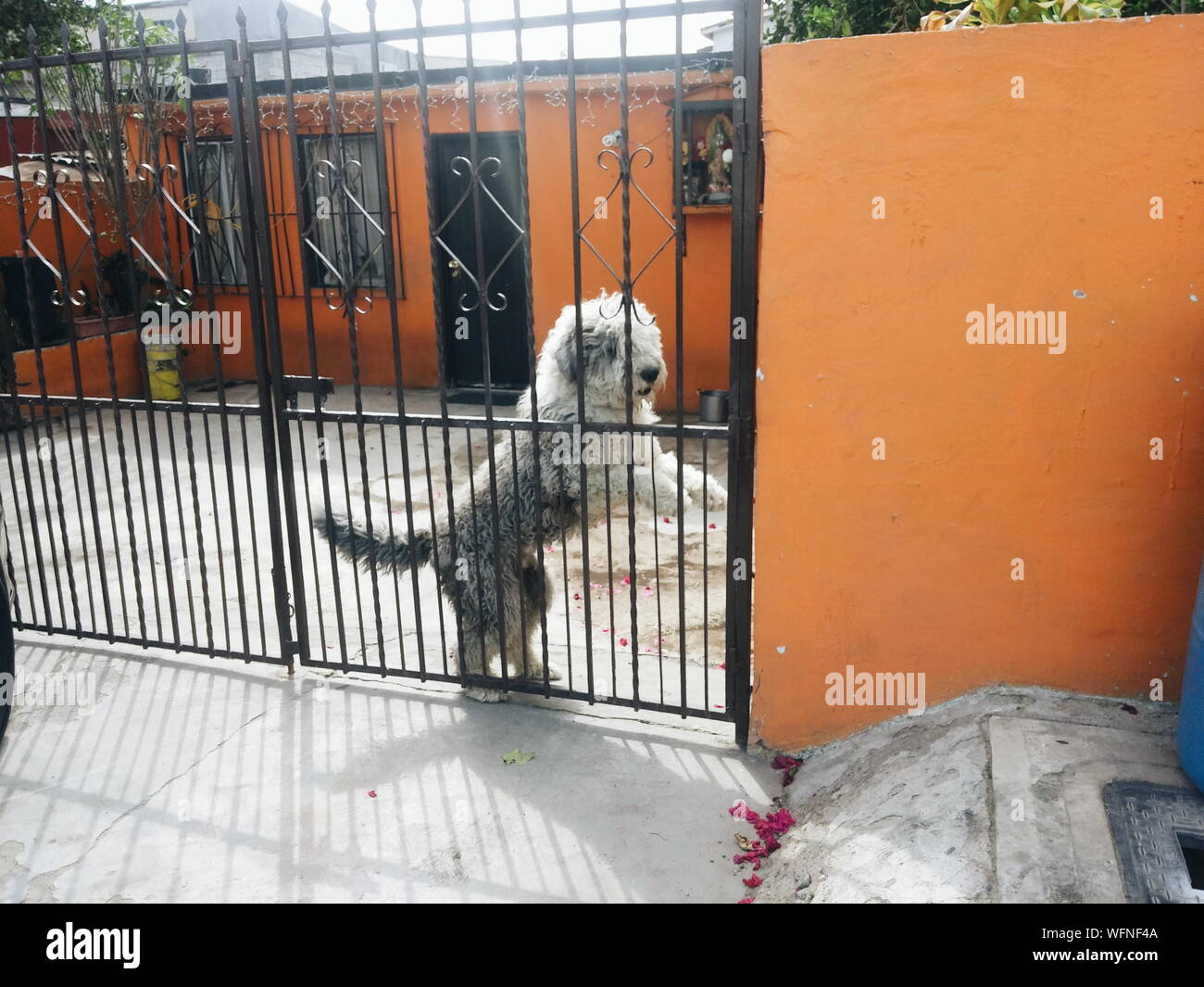 Gate in yard hi-res stock photography and images - Alamy