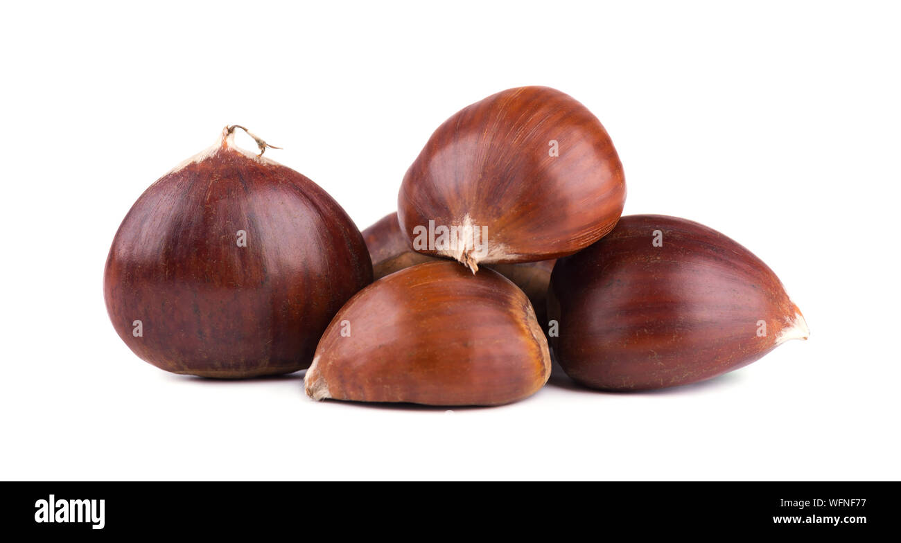 Fresh chestnuts isolated on white background. Hippocastanum isolated ...