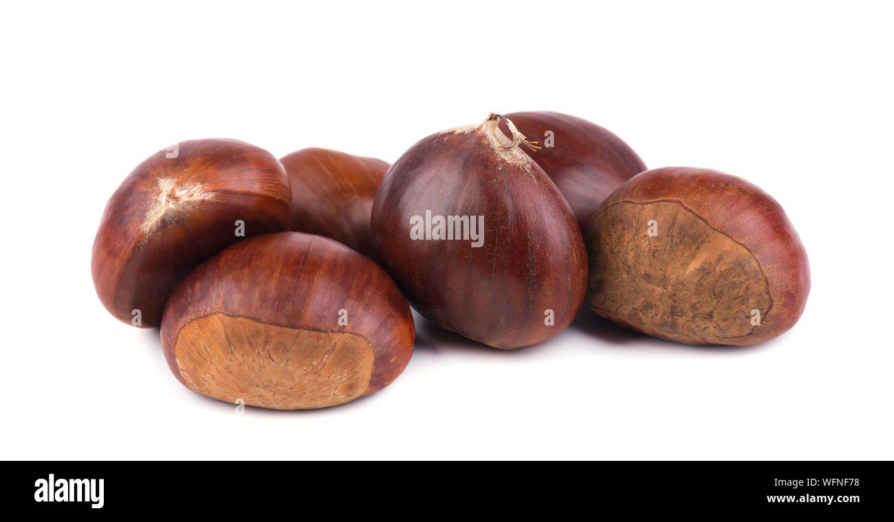 Fresh chestnuts isolated on white background. Hippocastanum isolated ...