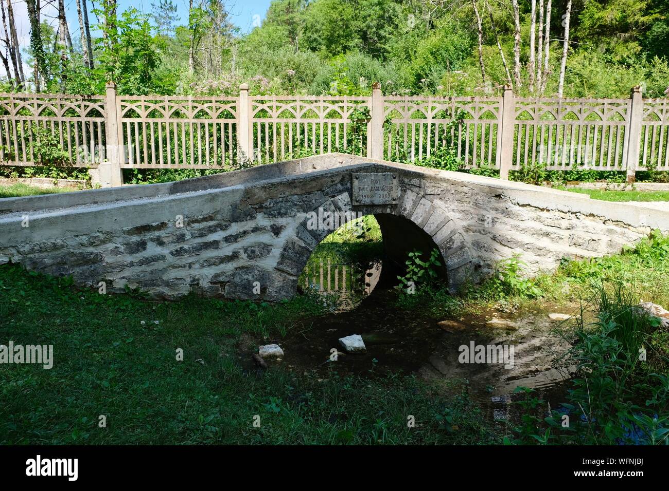 France, Cote d'Or, Source Seine, site of the sources of the Seine river ...