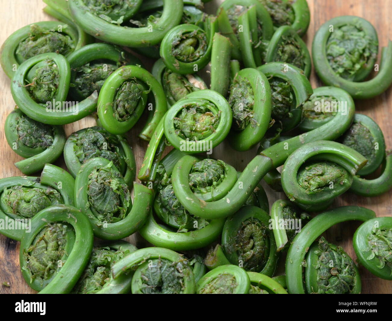 Fiddleheads people hi-res stock photography and images - Alamy
