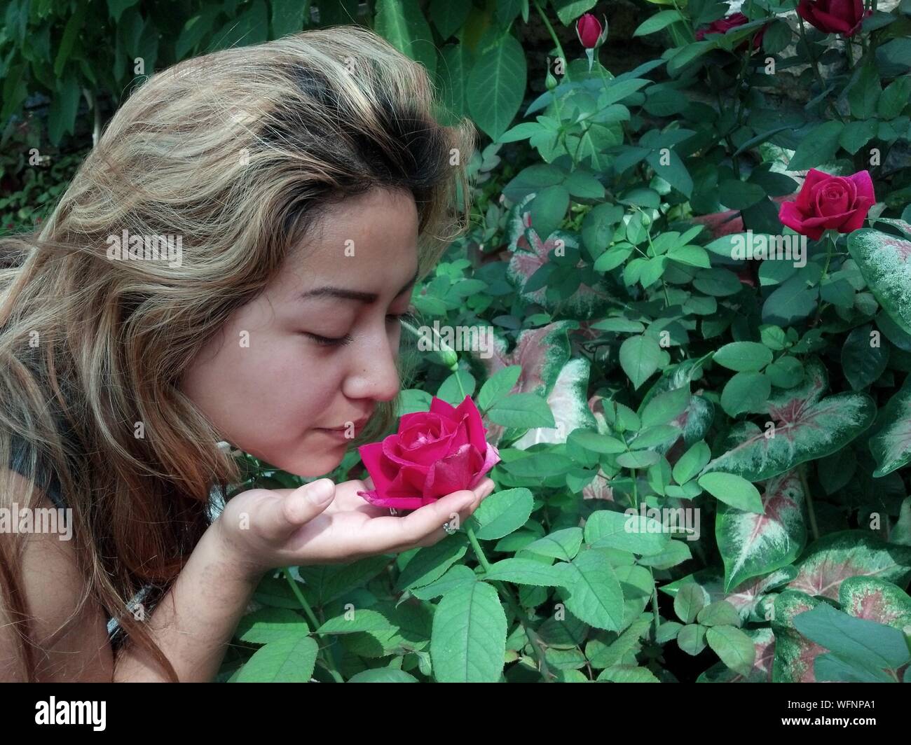 Adult smelling flower hi-res stock photography and images - Alamy