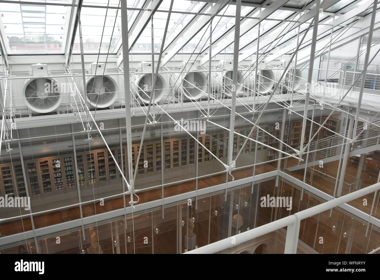 Harvard museum of natural history hi-res stock photography and images ...