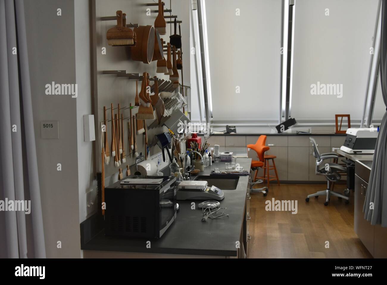 Harvard museum of natural history hi-res stock photography and images ...