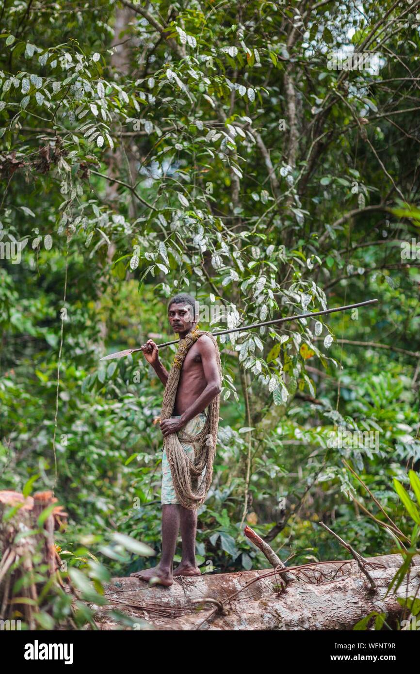 South African Forest High Resolution Stock Photography and Images - Alamy
