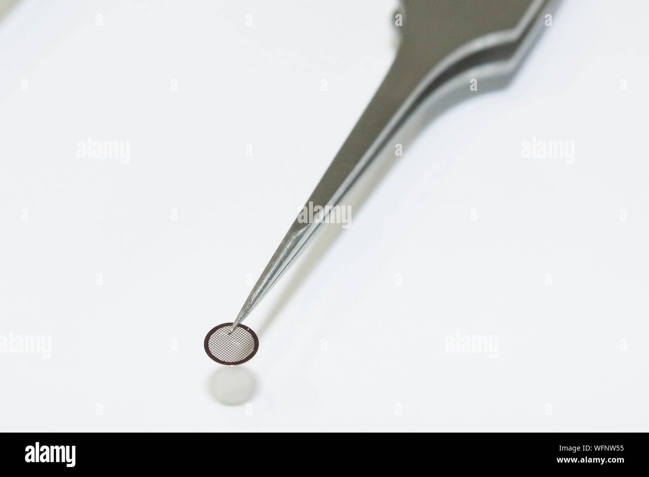 France, Eure, Grand Bourgtheroulde, environmental laboratory ...