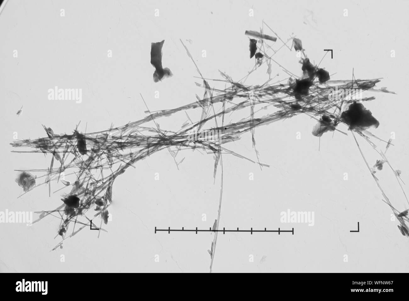 France, Eure, Grand Bourgtheroulde, environmental laboratory ...