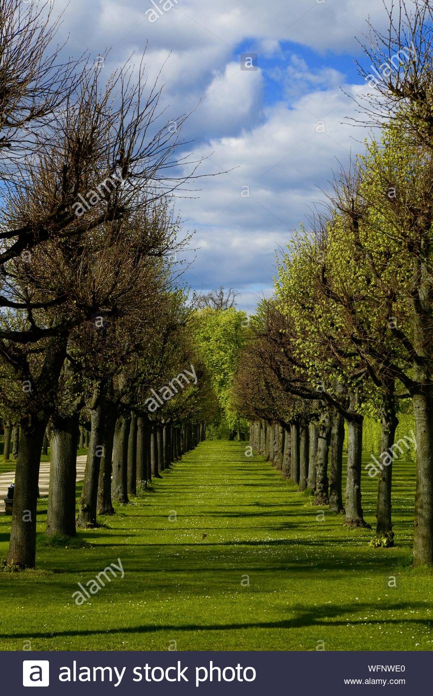 Tree Lined Lawn Stock Photos & Tree Lined Lawn Stock Images - Alamy