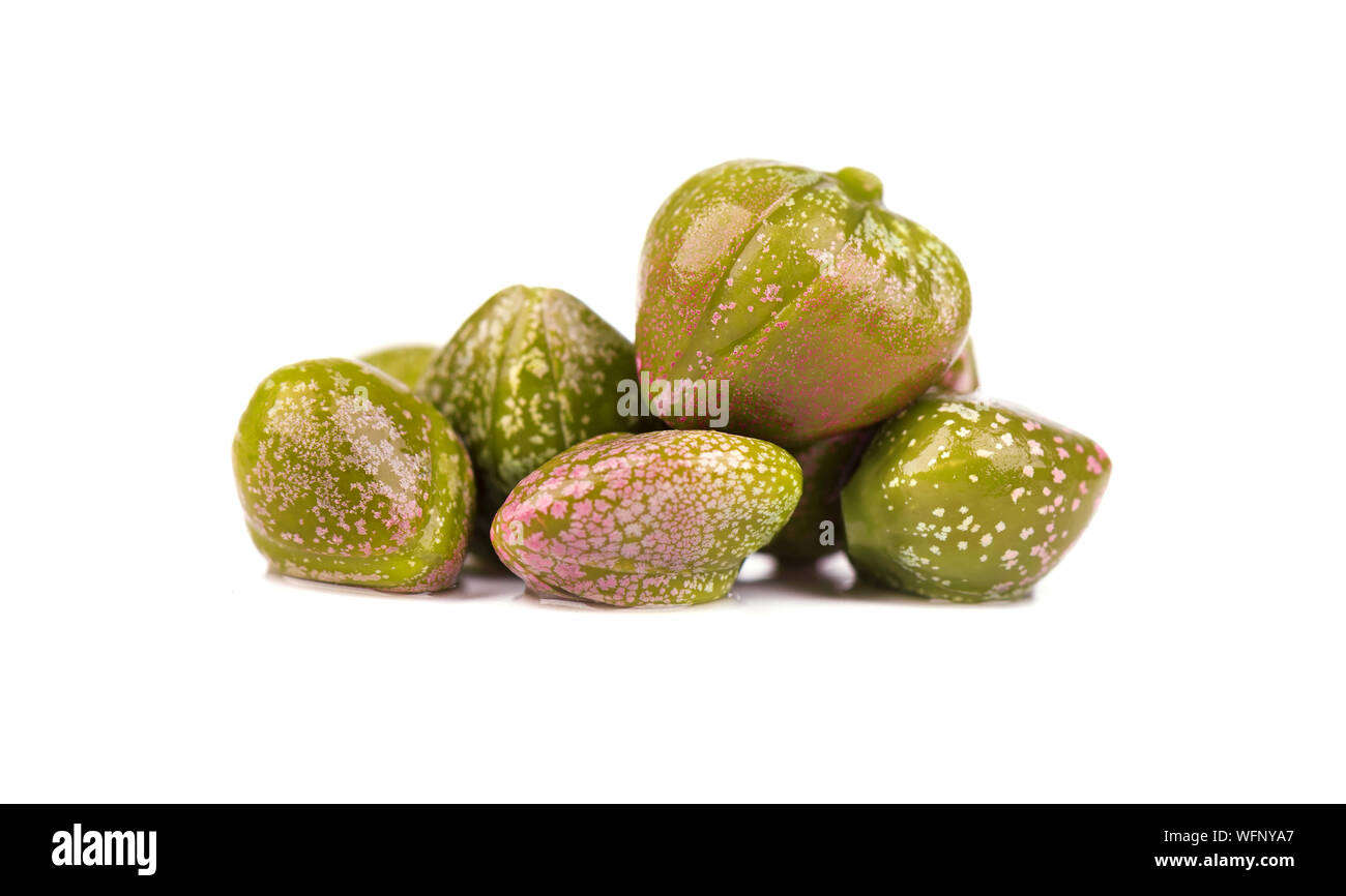 Capers isolated on white background. Pickled capers. Canned capers ...