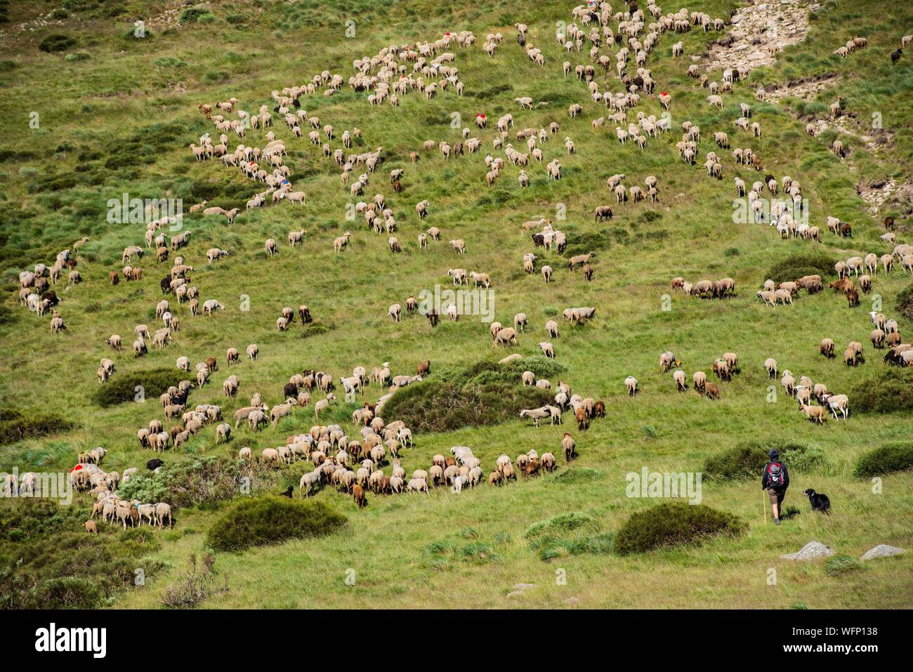 France, Ardeche, parc naturel régional des Monts d'Ardeche (Regional ...