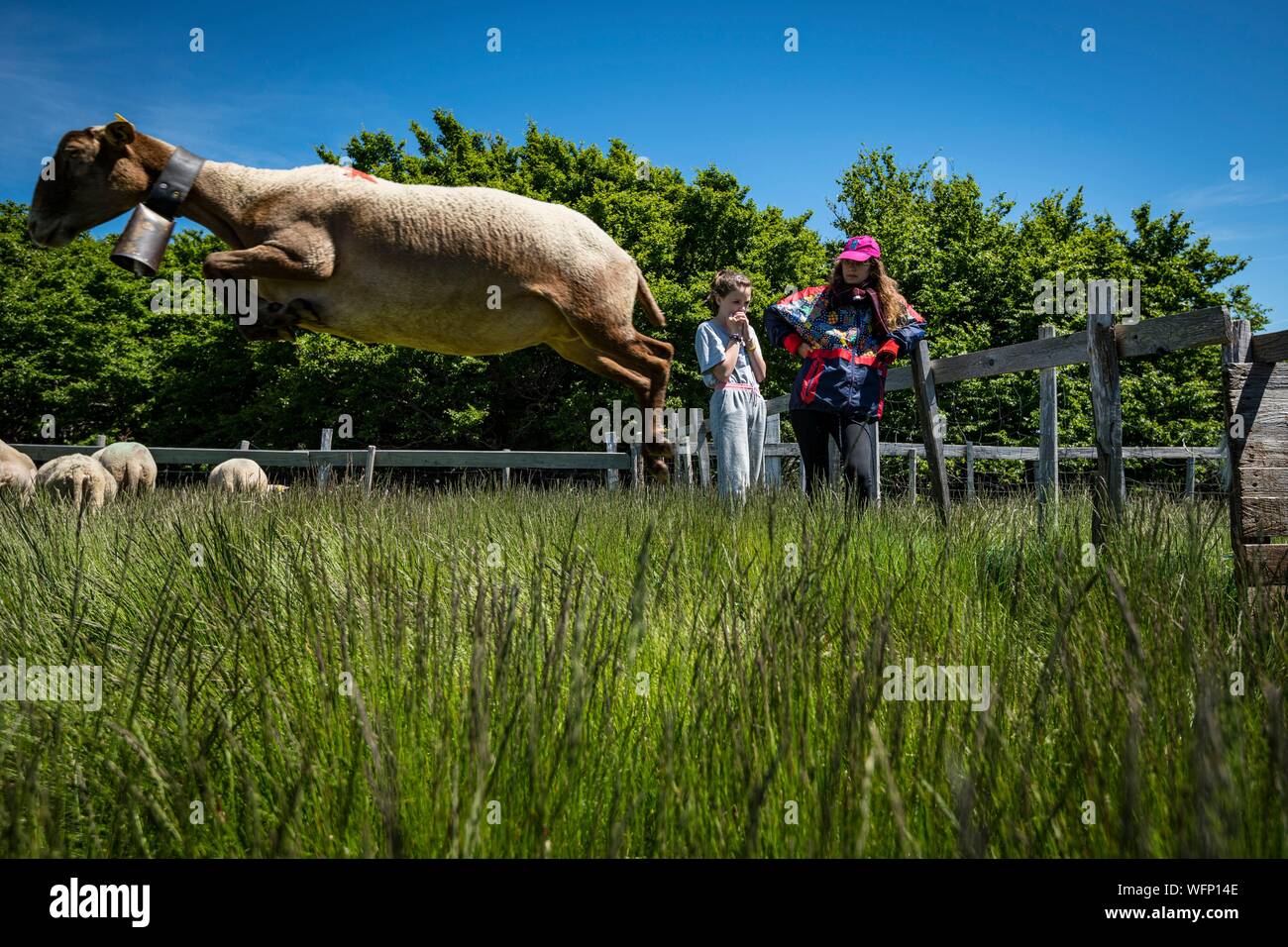 France, Ardeche, parc naturel régional des Monts d'Ardeche (Regional ...