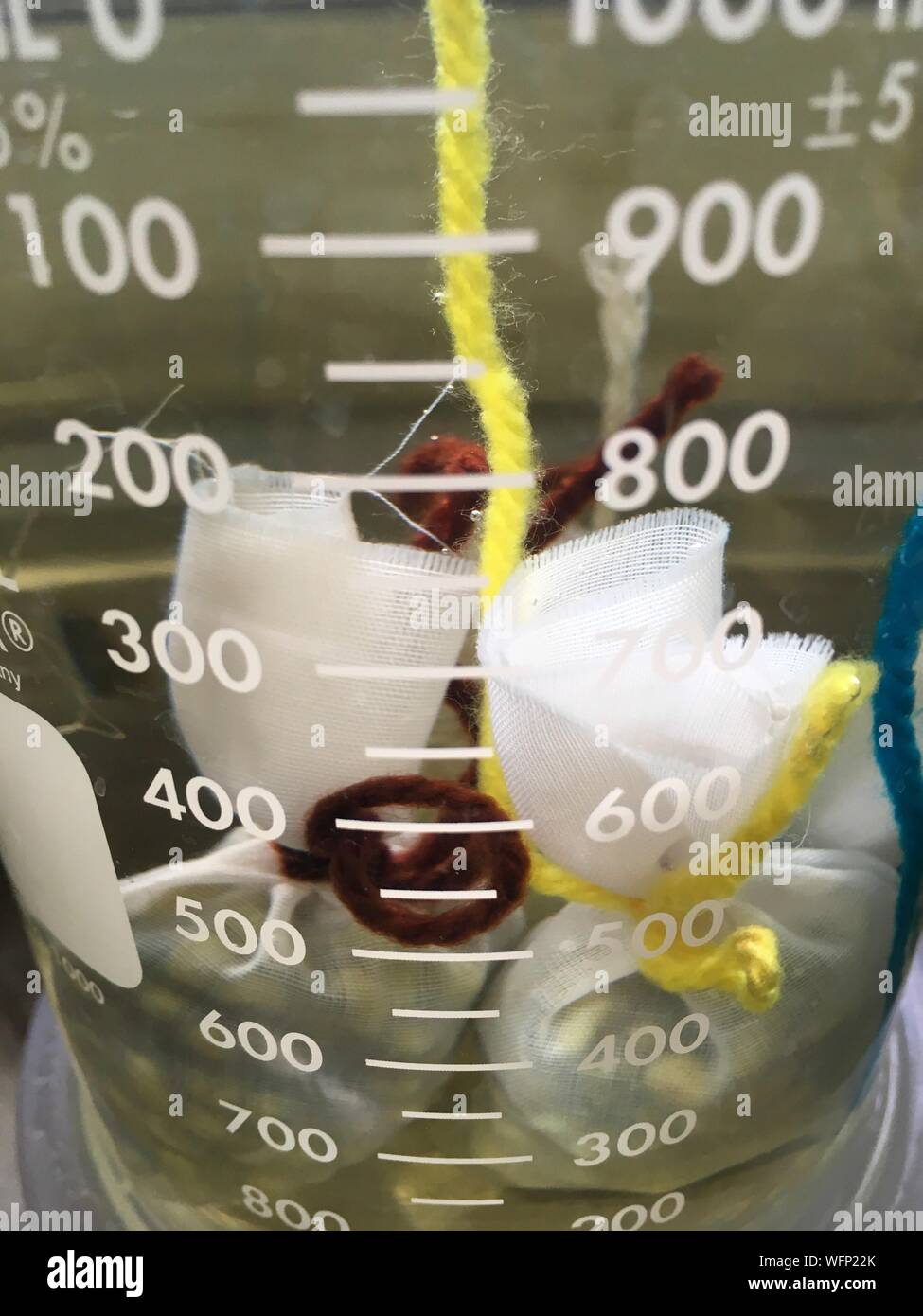 Laboratory beaker hi-res stock photography and images - Alamy