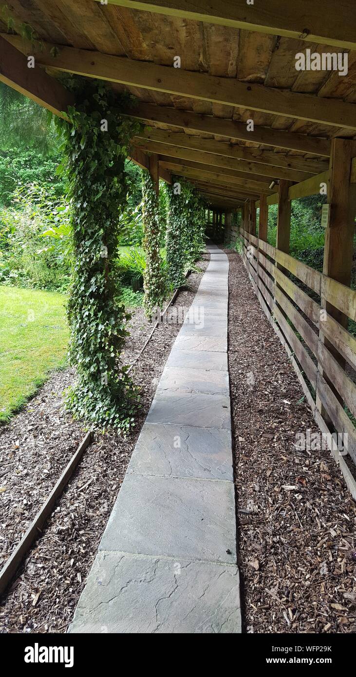 Path underneath bridge hi-res stock photography and images - Alamy