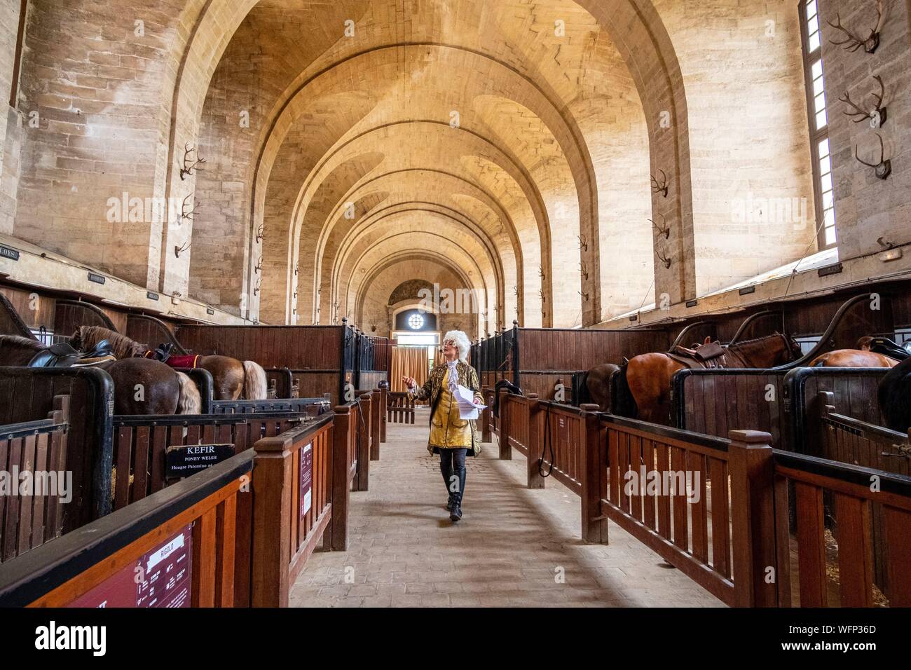France, Oise, Chantilly, Chantilly Castle, the Great Stables, show for ...