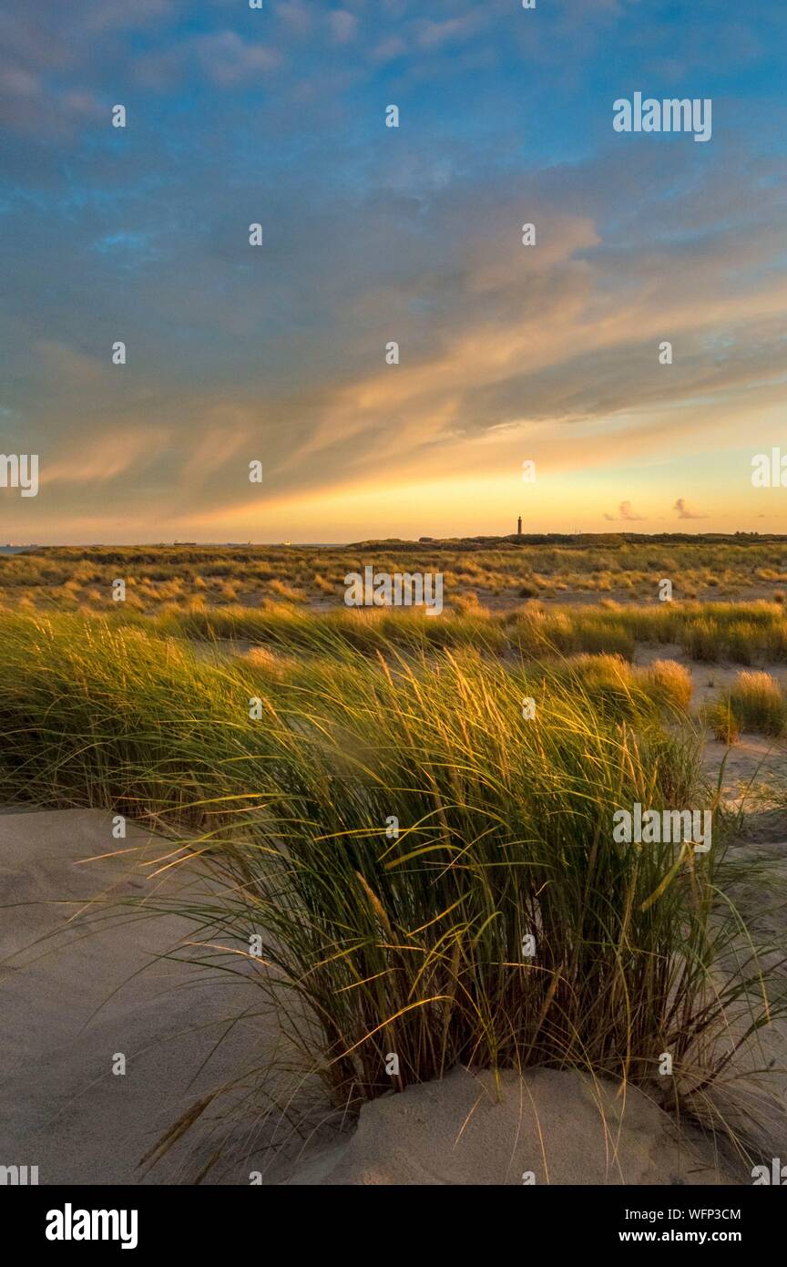 Denmark, North Jutland, the tip of Grenen is a strip of land located in ...