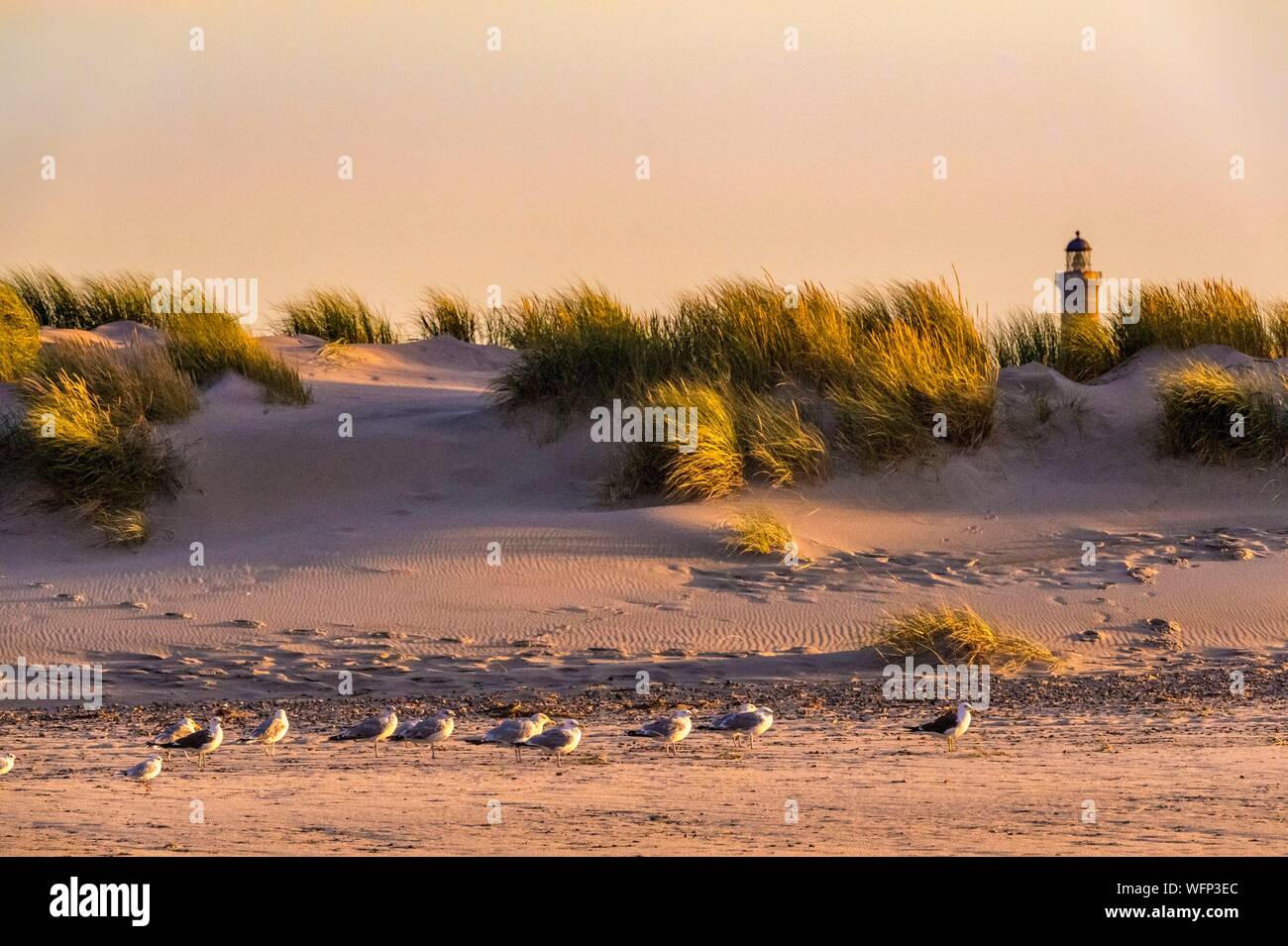 Denmark, North Jutland, the tip of Grenen is a strip of land located in ...