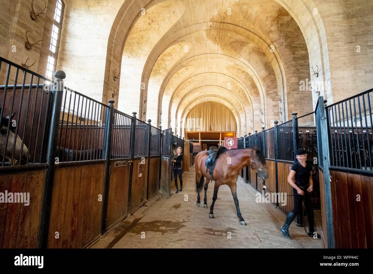 France, Oise, Chantilly, Chantilly Castle, the Great Stables, Sophie ...