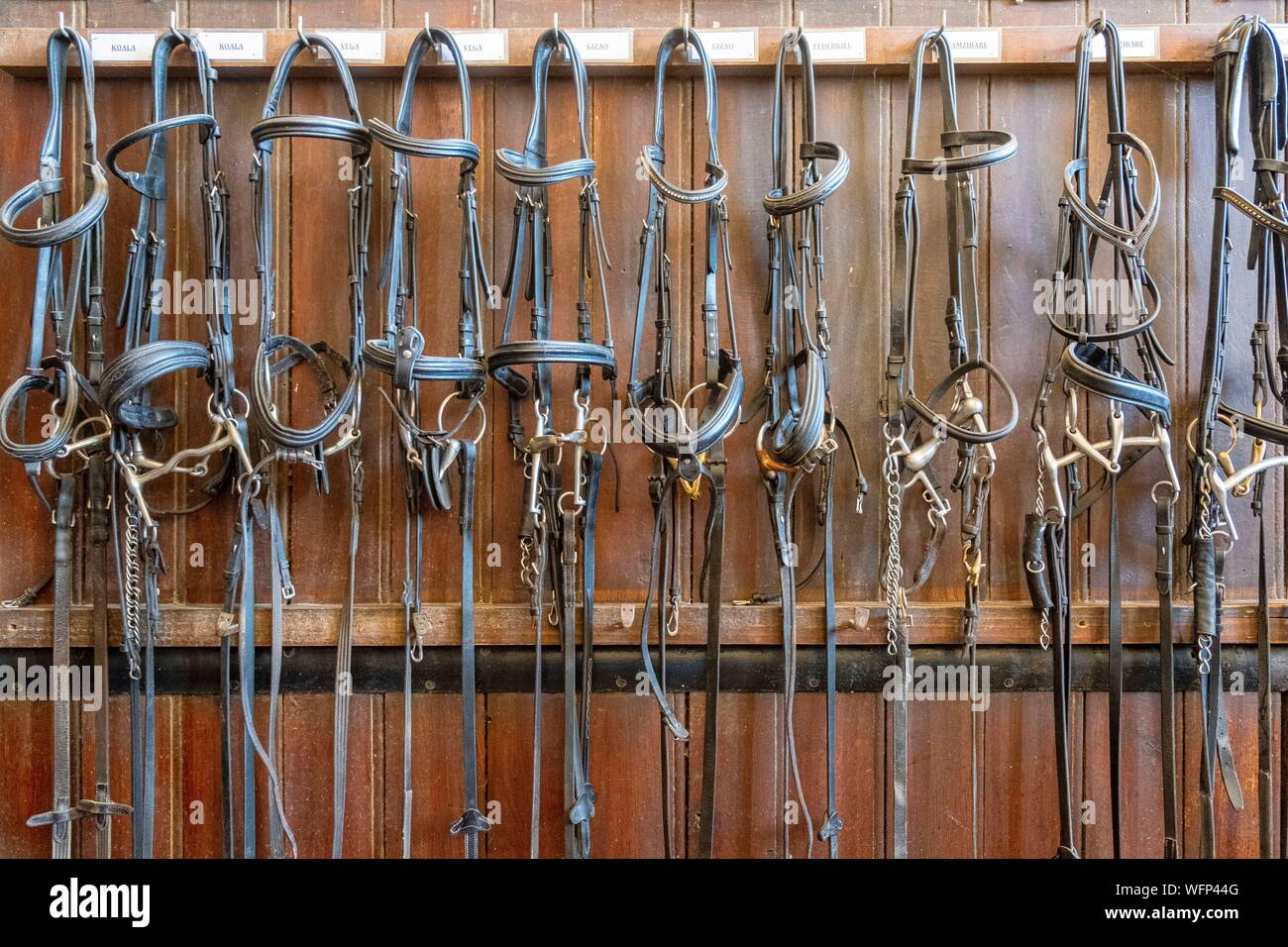 France chantilly great stables hi-res stock photography and images - Alamy