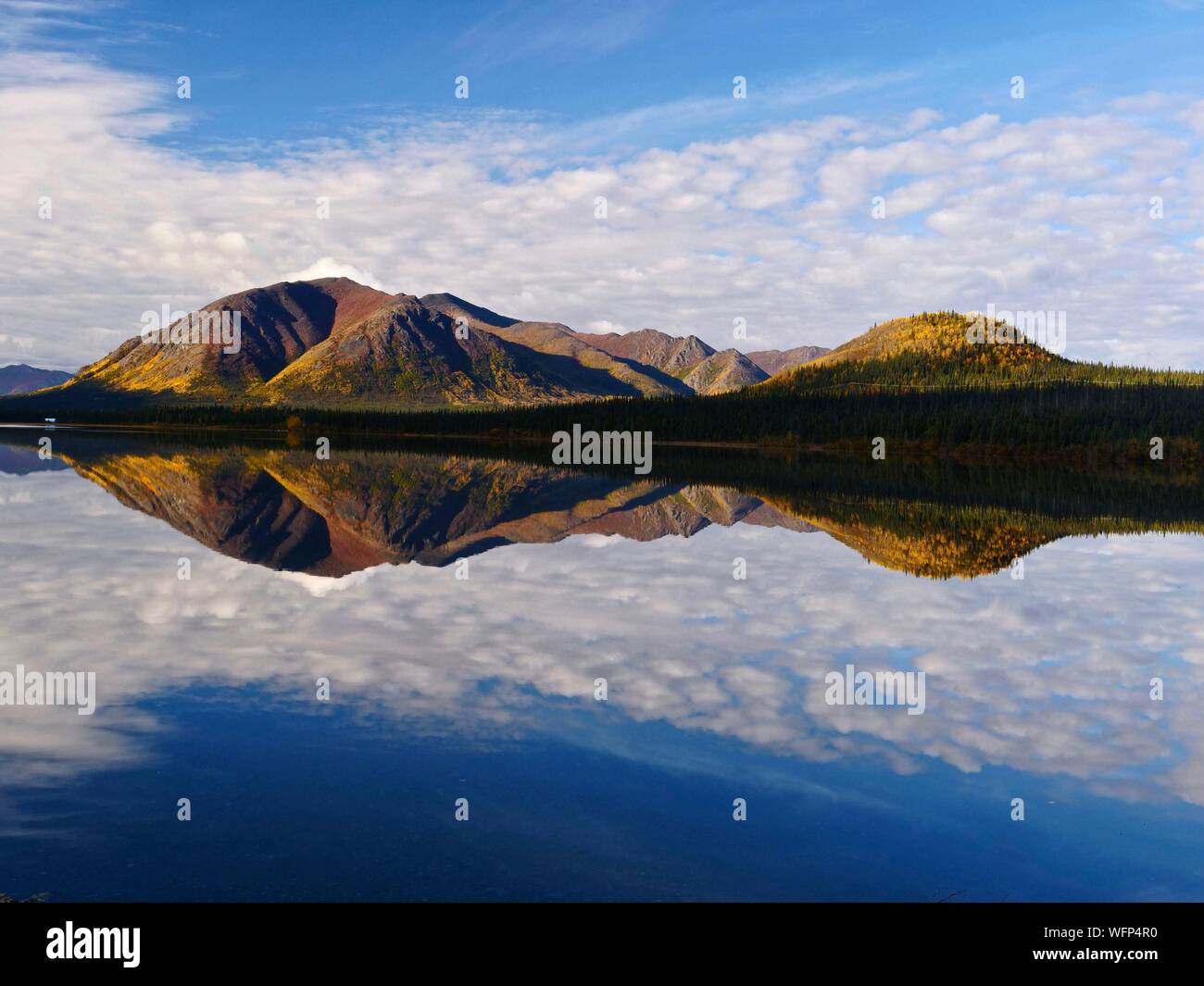 United States, Alaska, landscape reflection on a lake on the road to ...