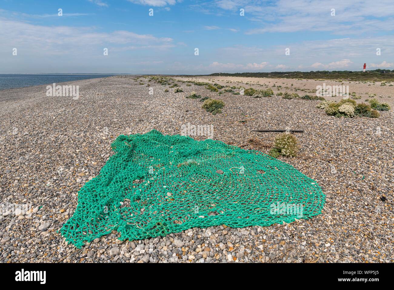 France, Somme, Baie de Somme, Cayeux sur Mer, Waste from fishing on the ...