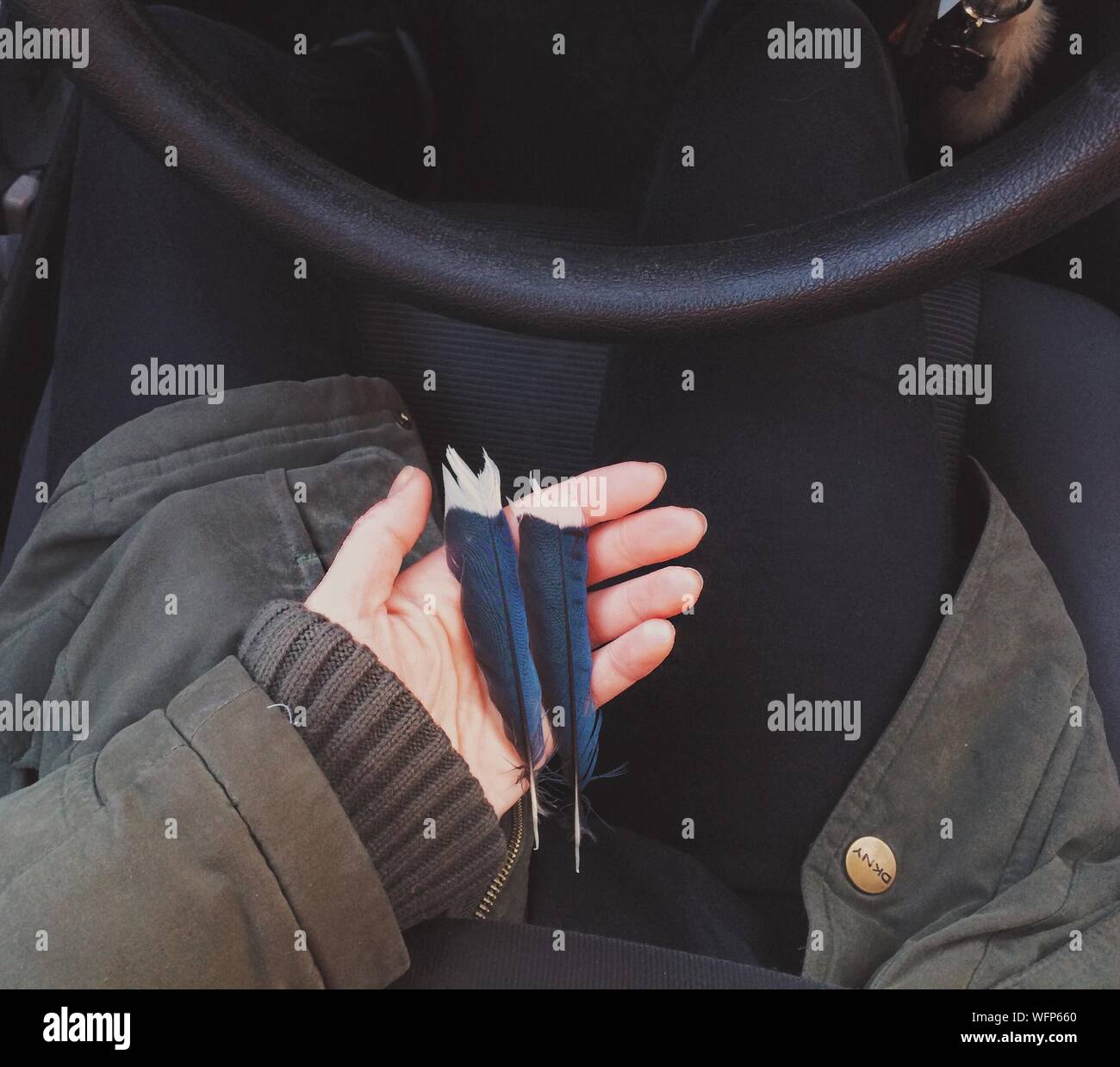 Jacket feathers hi-res stock photography and images - Alamy