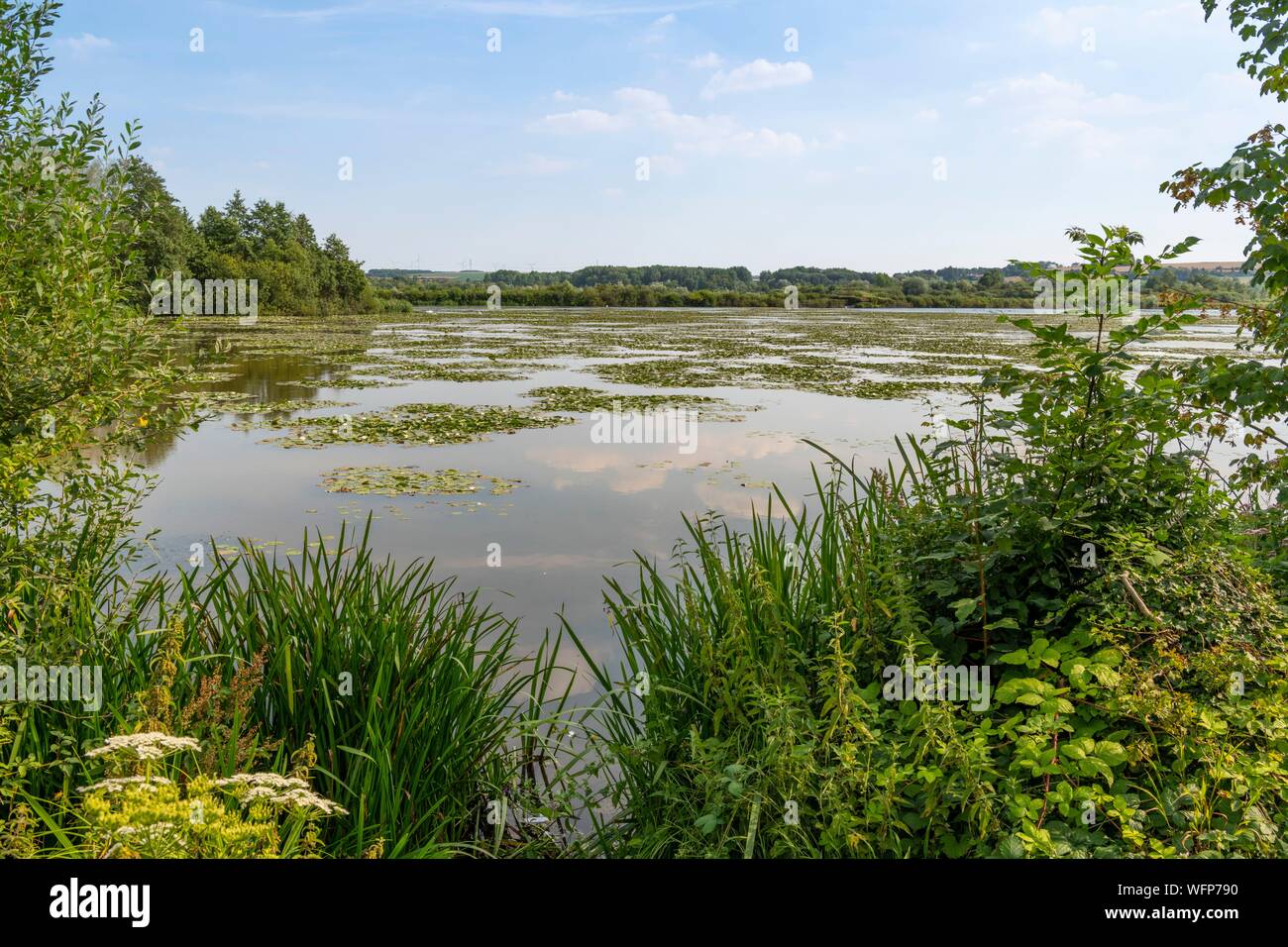 France, Somme, Valley of the Somme, Long, the banks of the Somme along ...