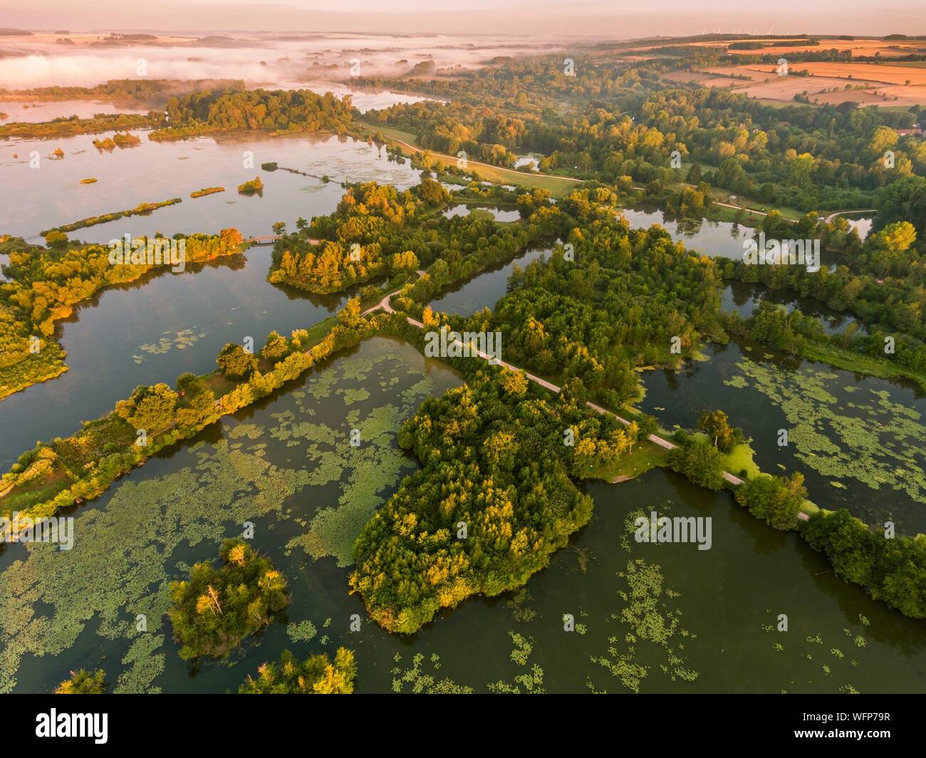 France, Somme, Valley of the Somme, Long, the swamps of the Somme at ...