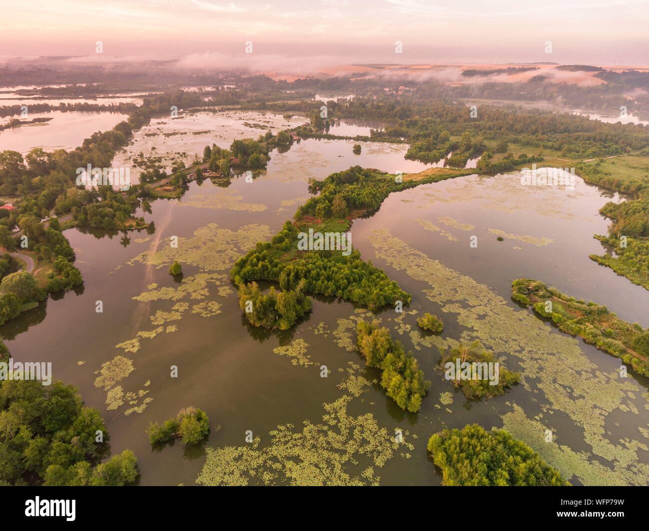 France, Somme, Valley of the Somme, Long, the swamps of the Somme at ...