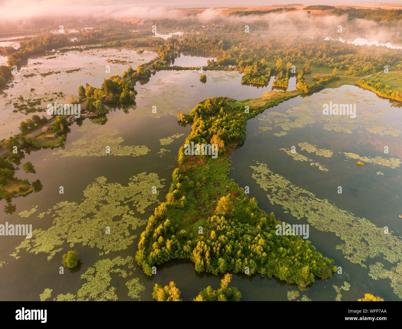 France, Somme, Valley of the Somme, Long, the swamps of the Somme at ...