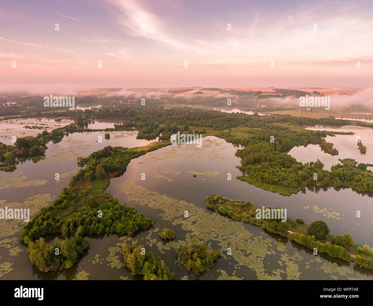 France, Somme, Valley of the Somme, Long, the swamps of the Somme at ...