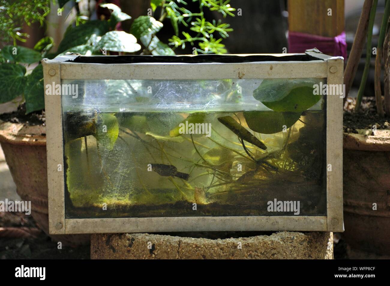 Back tank hi-res stock photography and images - Alamy