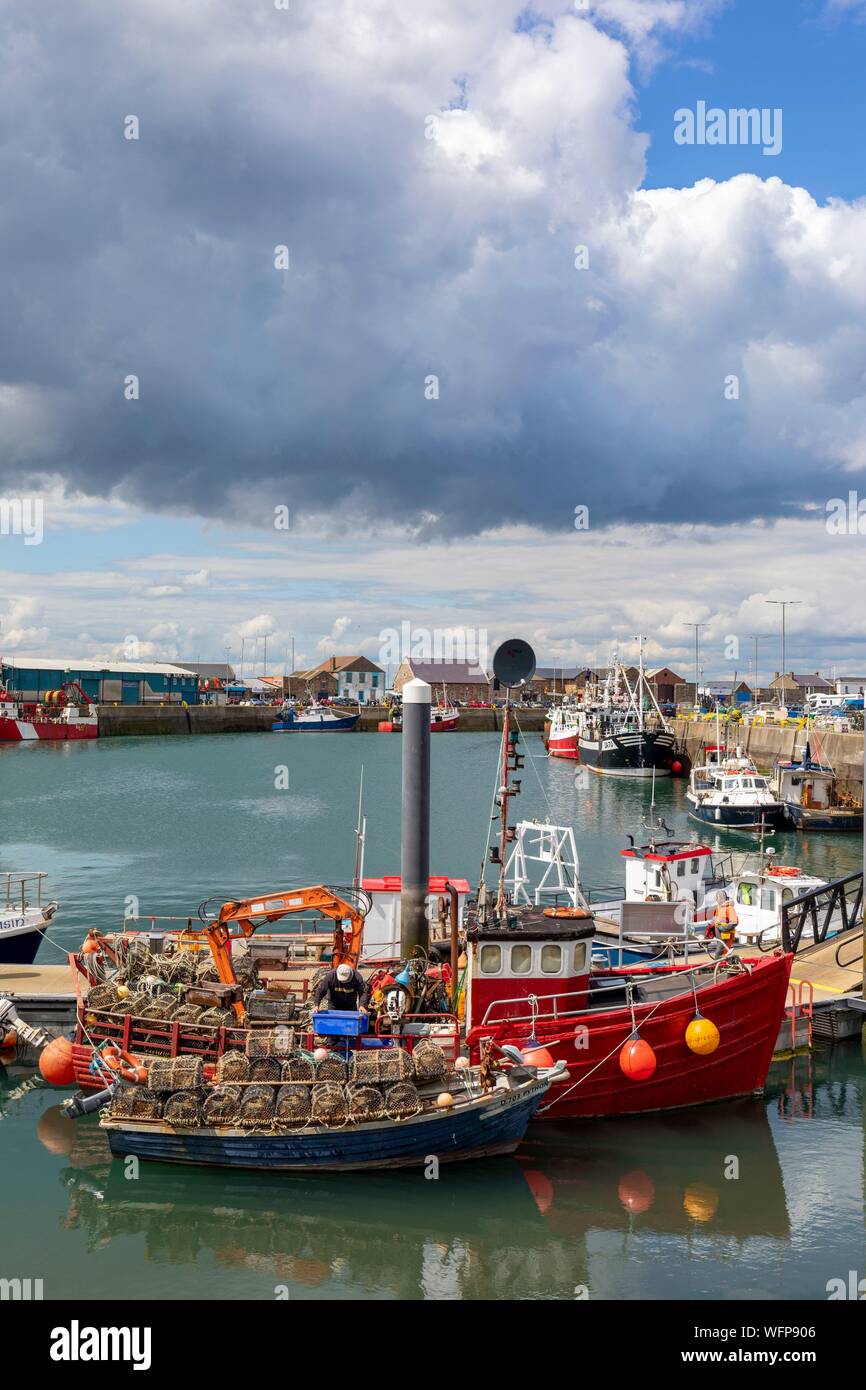 Ireland, Fingal County, Northern Dublin Suburbs, Howth, Fishing harbor ...