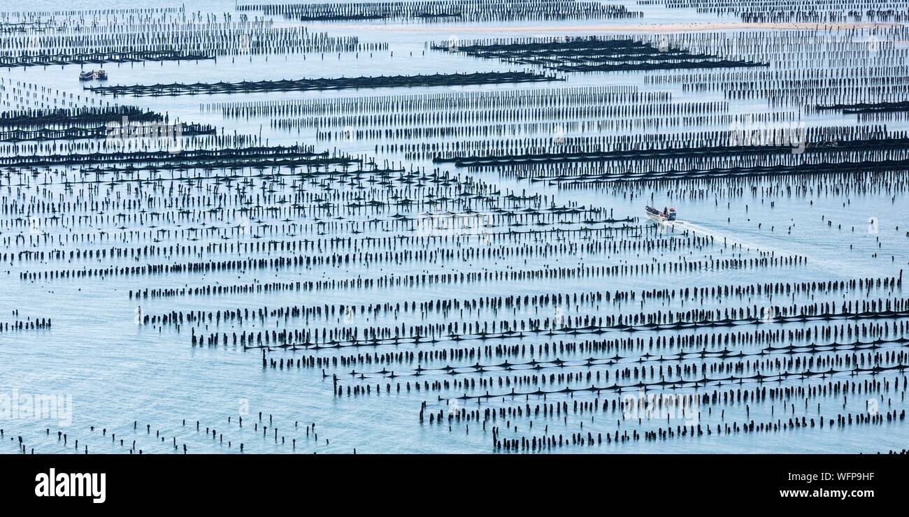 Mussel poles hi-res stock photography and images - Alamy