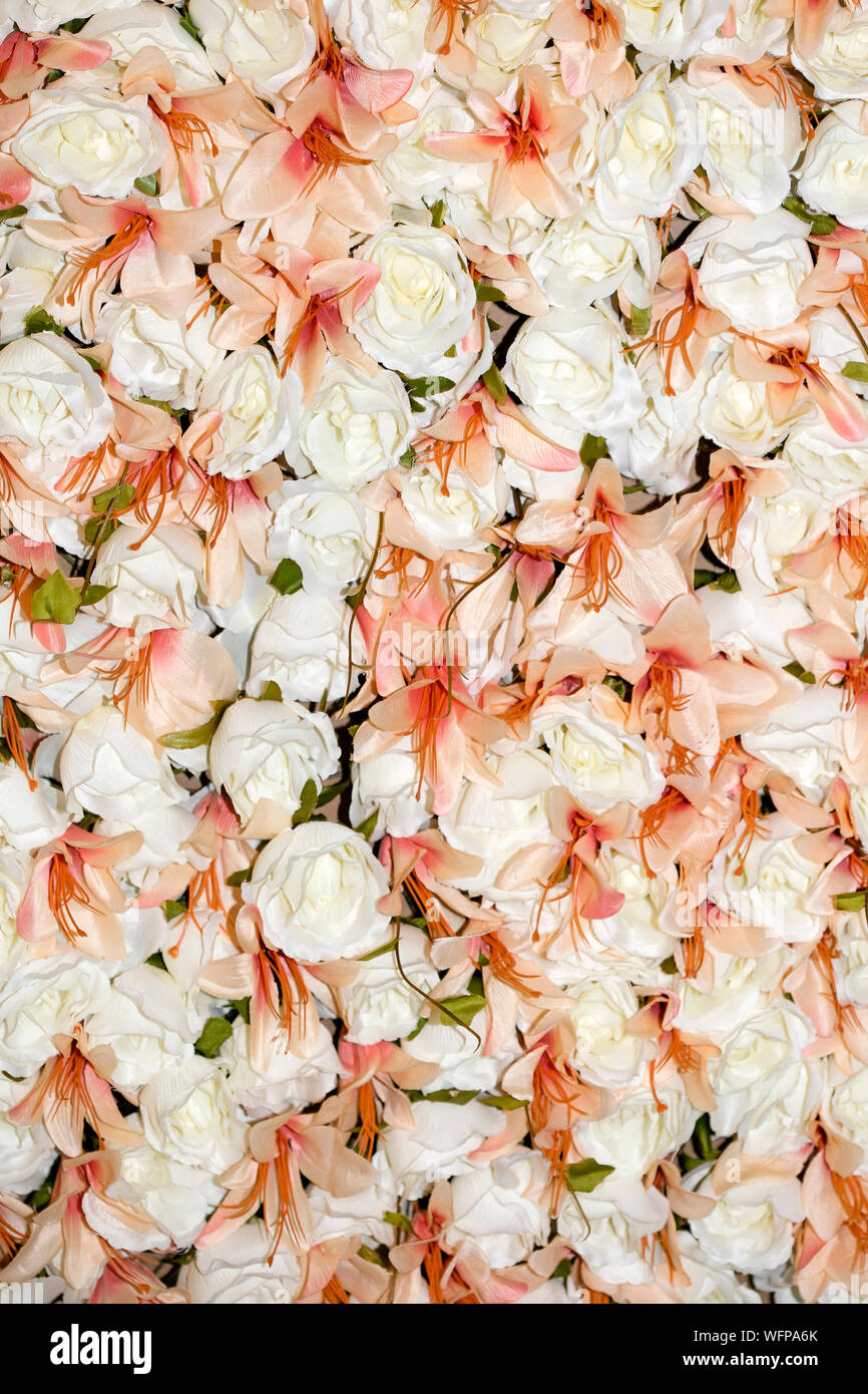 White plastic wedding roses macro background fifty megapixels Stock ...