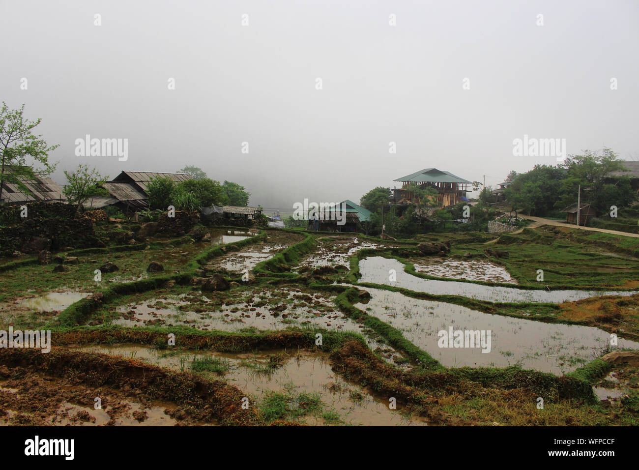view over Sapa landscape with rice fields and houses. planting rice ...