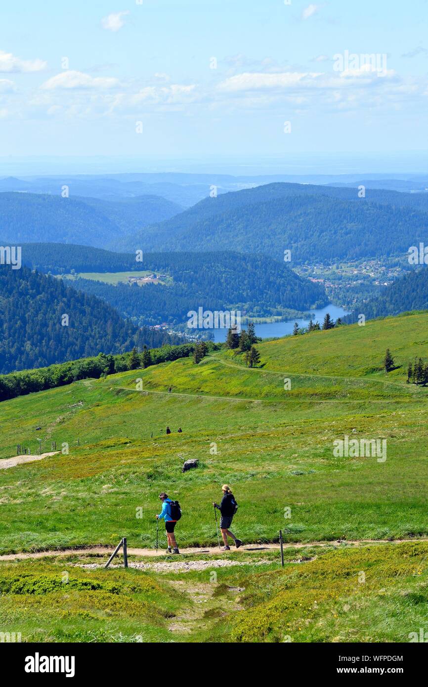 France, Vosges, Hautes Vosges, from Hohneck summit, Route des Cretes ...