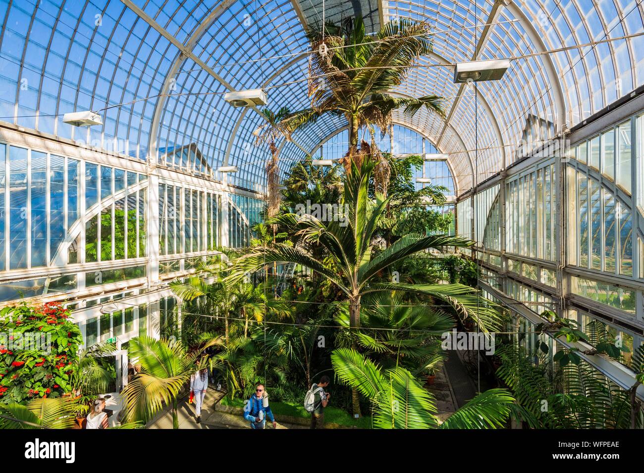 Sweden, Vastra Gotaland, Goteborg (Gothenburg), the palm tree ...
